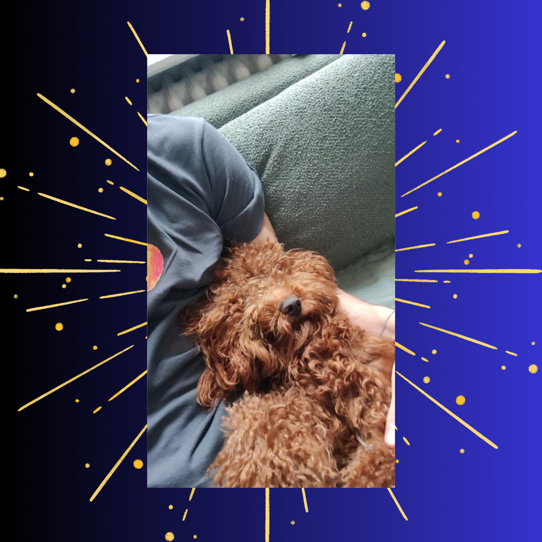 4 - Future Navigator